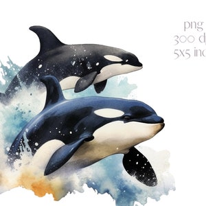 Orca Clipart, Nautical Clipart. Ocean Animal. Sea Animals Clip Art, Png ...