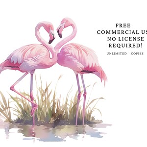 Flamingo Clipart. Tropical Clipart. Floral Clipart, Bird Clip Art, PNG ...