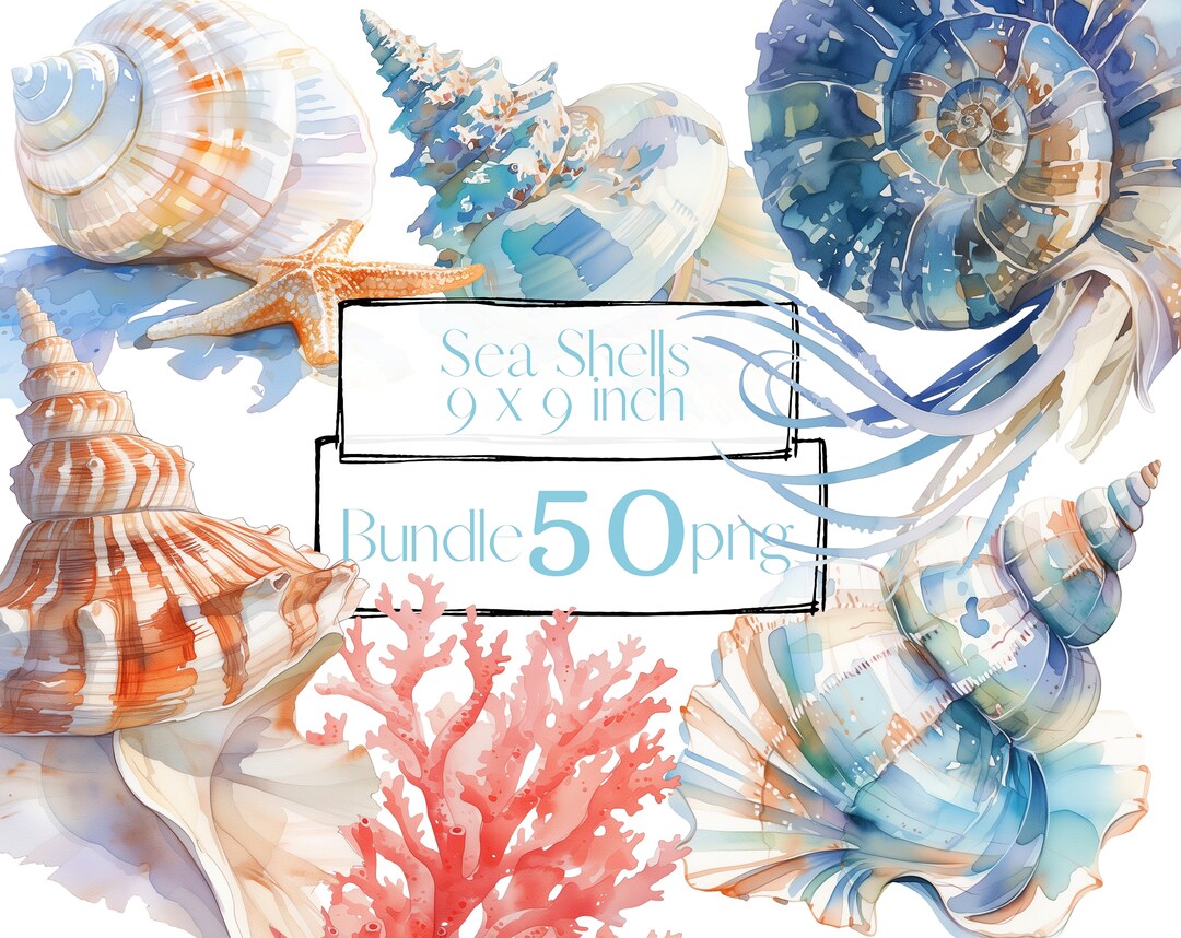 Watercolor Sea Shell Clipart Bundle, Nautical PNG (digital Download) - Etsy