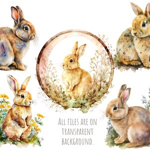Bunnies Clipart. Bunny Bundle. Spring Clipart, Rabbit Clip Art, Boho ...