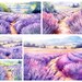 Lavender Field Digital Paper, Wild Flowers. Watercolor Scrapbook Paper ...