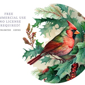 Cardinal Clipart, Christmas Clipart, Winter Clipart, Bird Clipart, Red ...