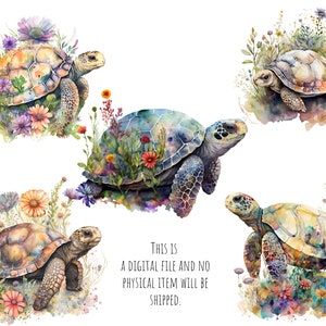 Turtle Clipart, Nautical Clipart. Ocean Animal. Sea Animals Clip Art ...