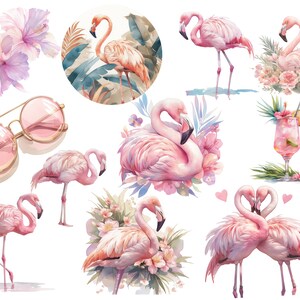 Flamingo Clipart. Tropical Clipart. Floral Clipart, Bird Clip Art, PNG ...