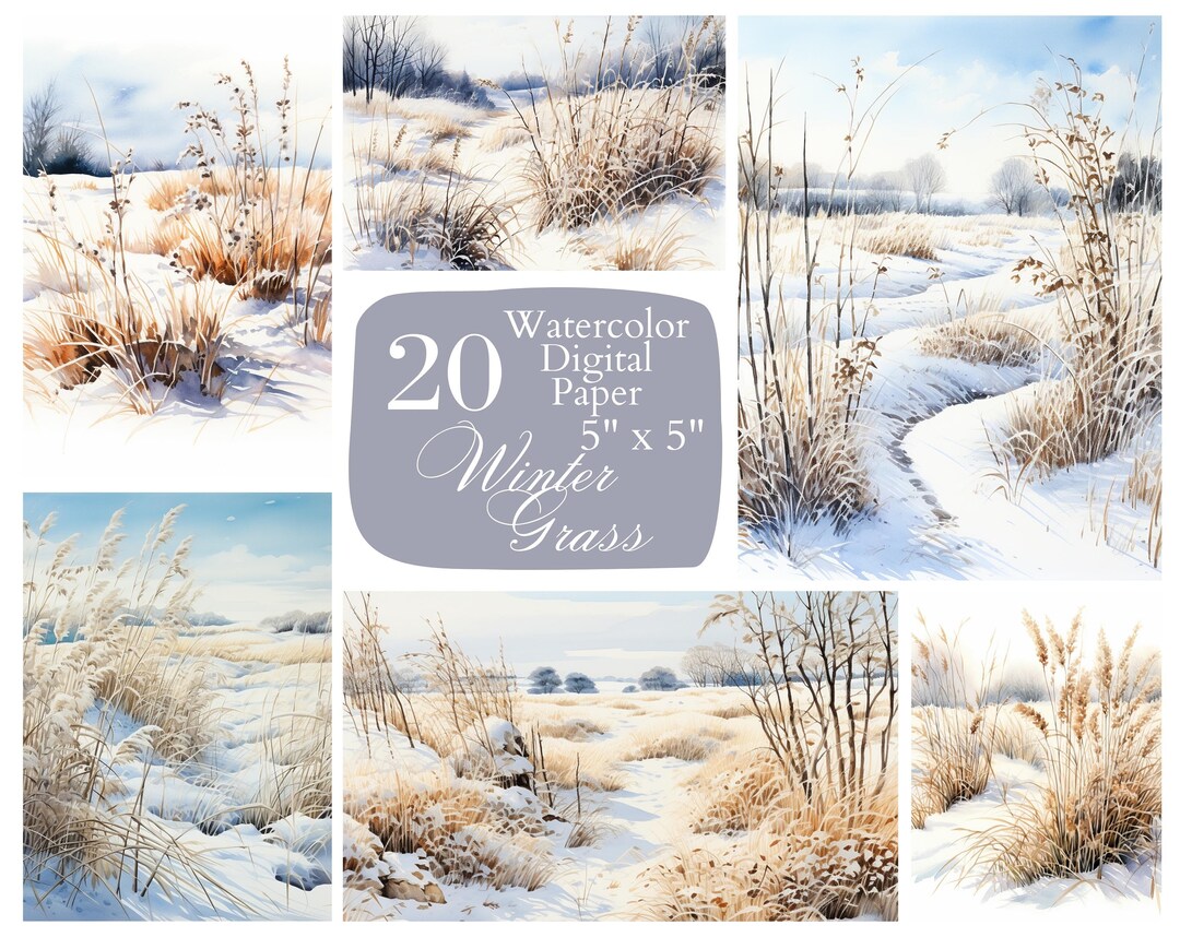 Winter Field Digital Paper, Snow Winter Wood, Pattern. Watercolor ...