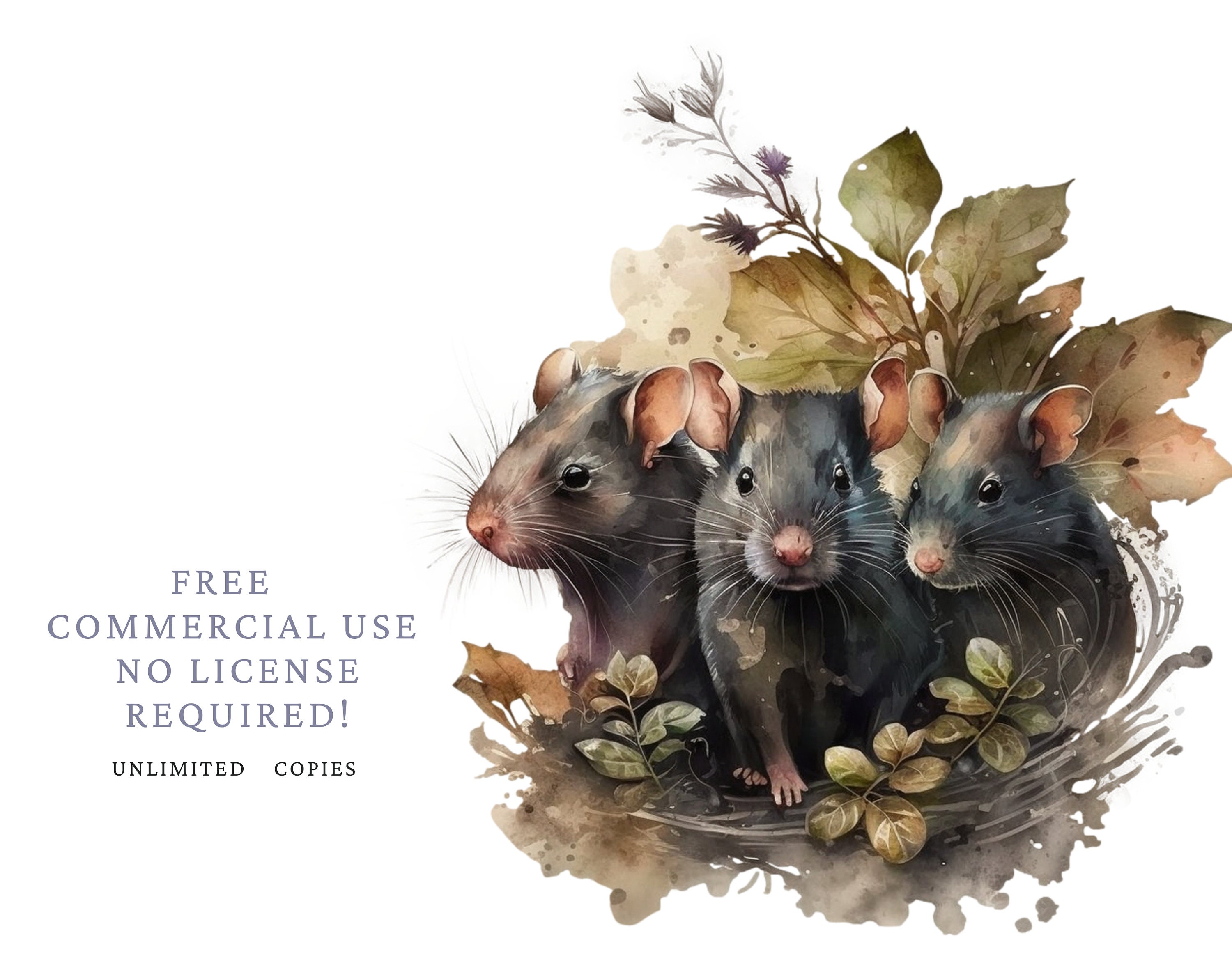 Rat Clipart. Mouse Clipart. Pet Clipart. Animal Clipart. Cute - Etsy