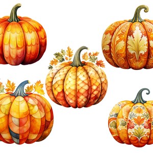Orange Pumpkin Clipart, Garden, Fall Clipart, Autumn, Png. Digital ...