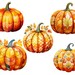 Orange Pumpkin Clipart Garden Fall Clipart Autumn Png. - Etsy