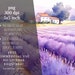 Lavender Field Digital Paper Wild Flowers. Watercolor - Etsy
