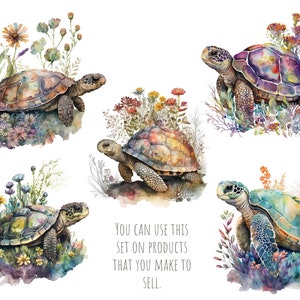 Turtle Clipart, Nautical Clipart. Ocean Animal. Sea Animals Clip Art ...