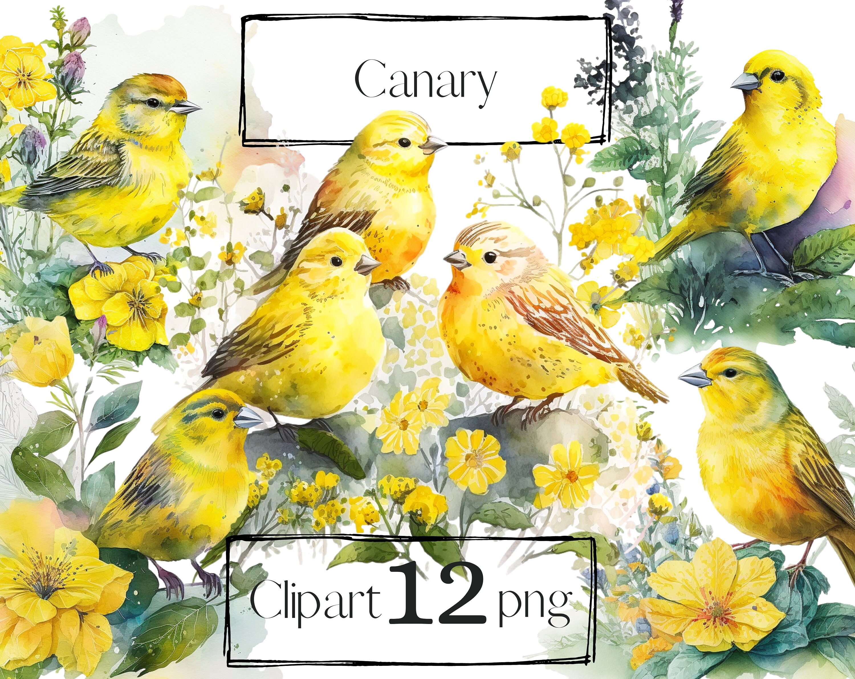 Canary Clip Art
