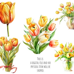 Tulip Clipart. Spring Clipart. Floral Clipart, Field, Garden, Blooming ...