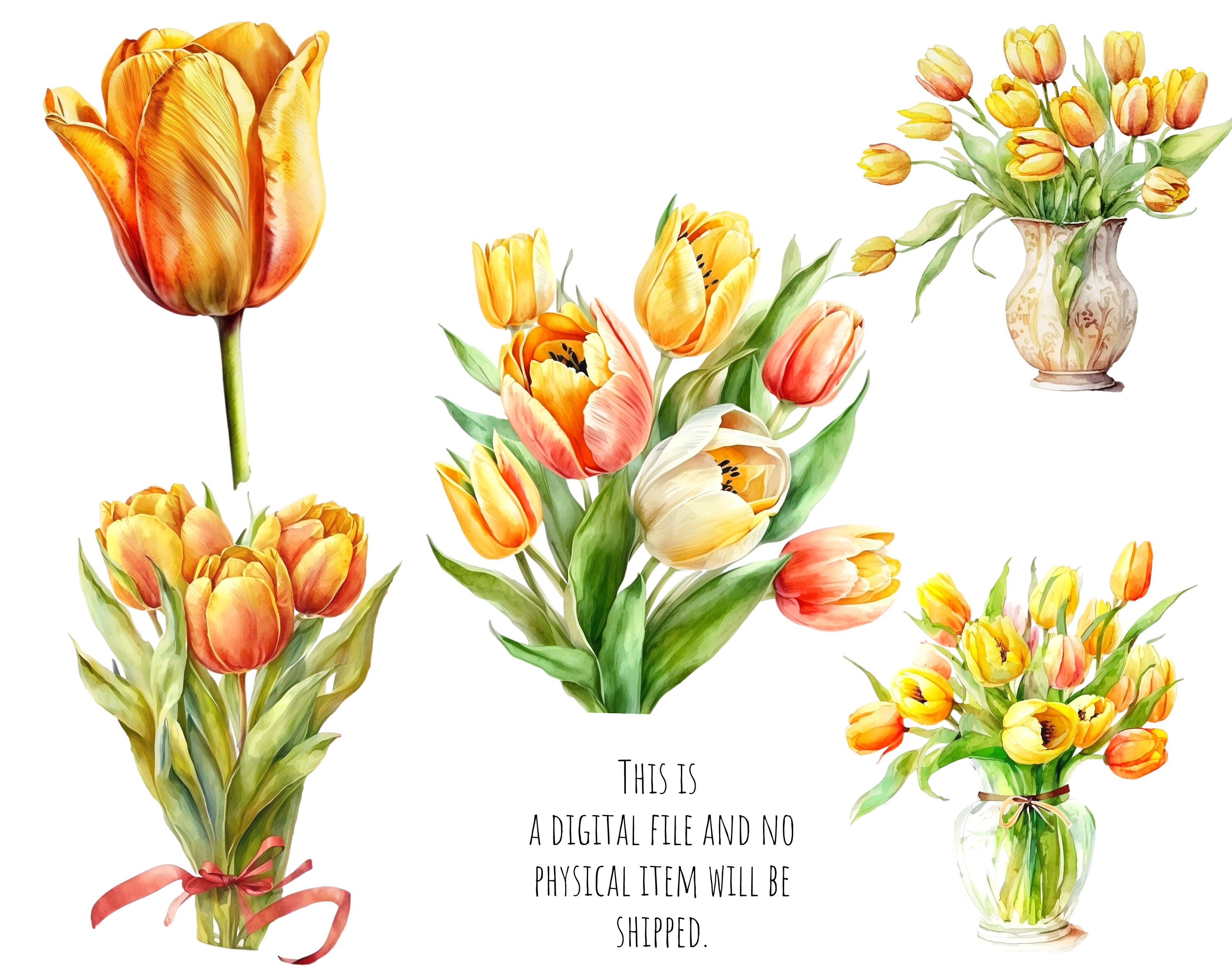 Tulip Clipart. Spring Clipart. Floral Clipart, Field, Garden, Blooming ...