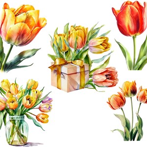 Tulip Clipart. Spring Clipart. Floral Clipart, Field, Garden, Blooming ...