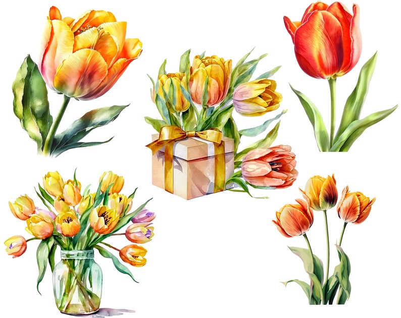 Tulip Clipart. Spring Clipart. Floral Clipart, Field, Garden, Blooming ...