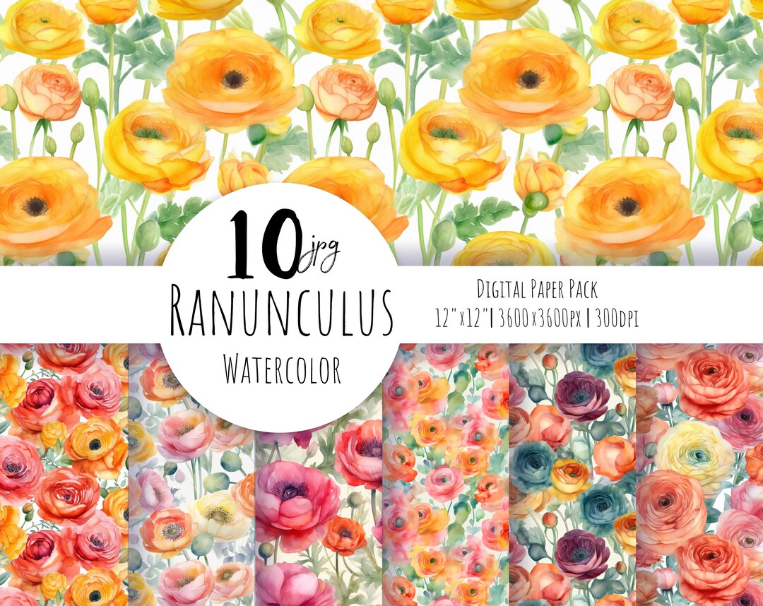 Ranunculus Pattern, Floral Digital Paper, Seamless Pattern, Flower ...