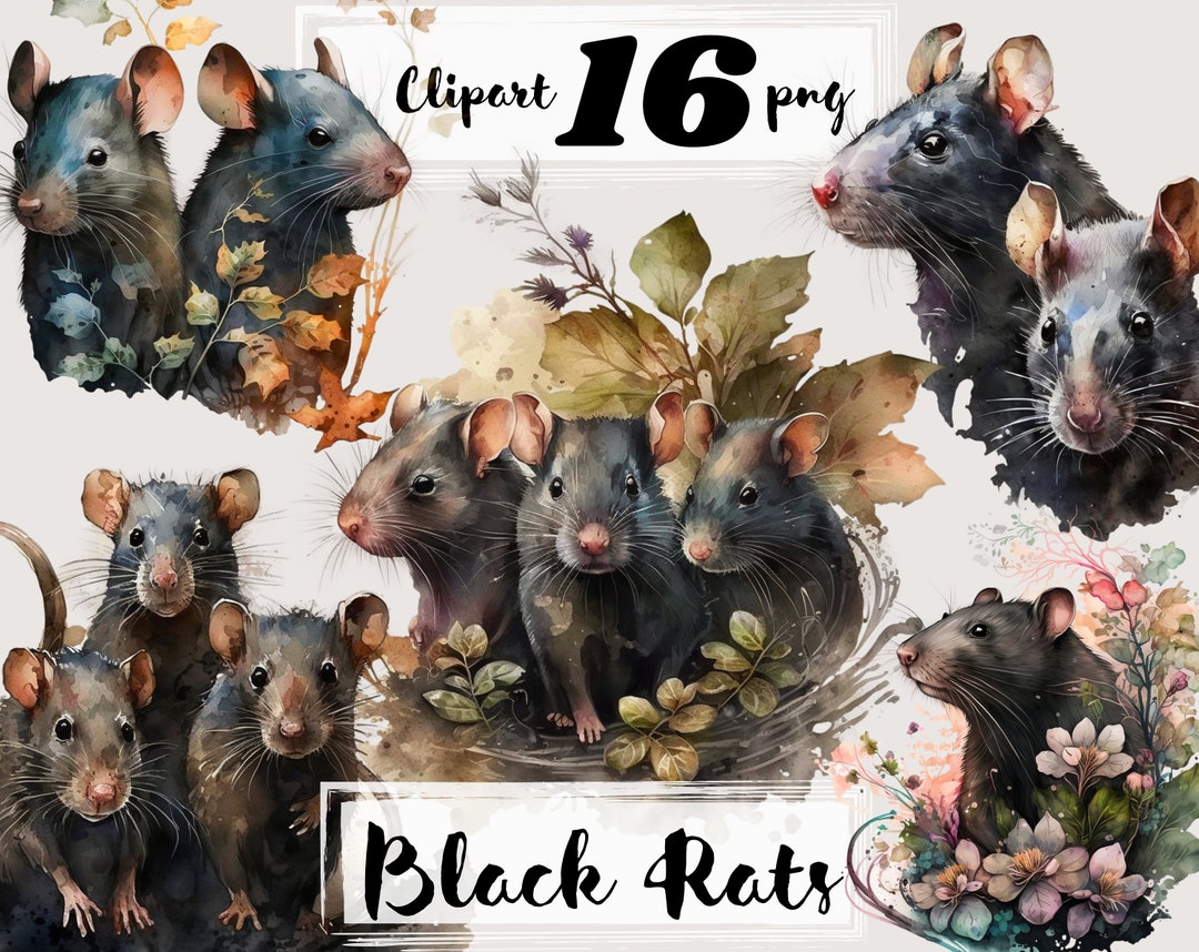 Rat Clipart. Mouse Clipart. Pet Clipart. Animal Clipart. Cute Animals ...