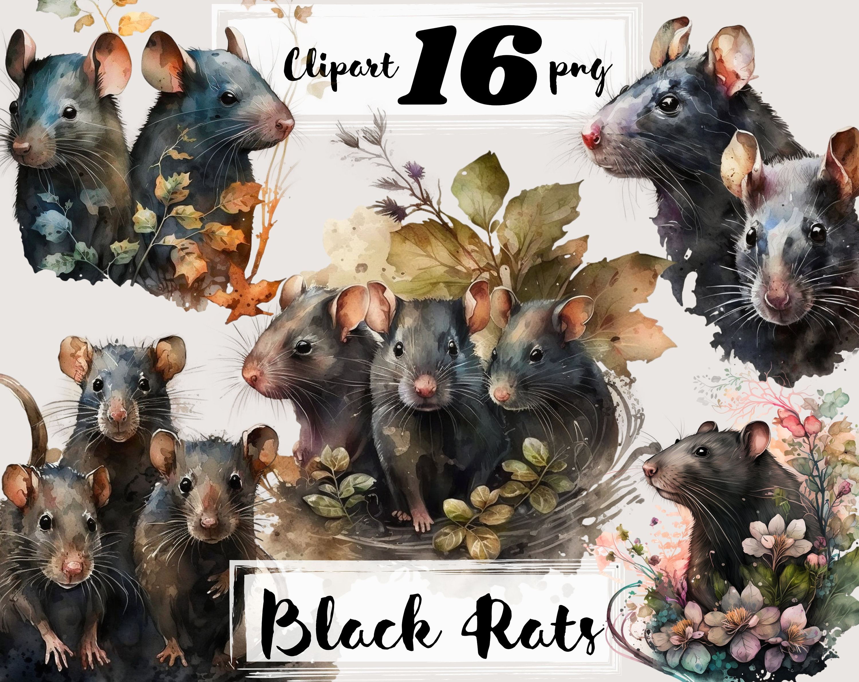 Rat Clipart. Mouse Clipart. Pet Clipart. Animal Clipart. Cute - Etsy