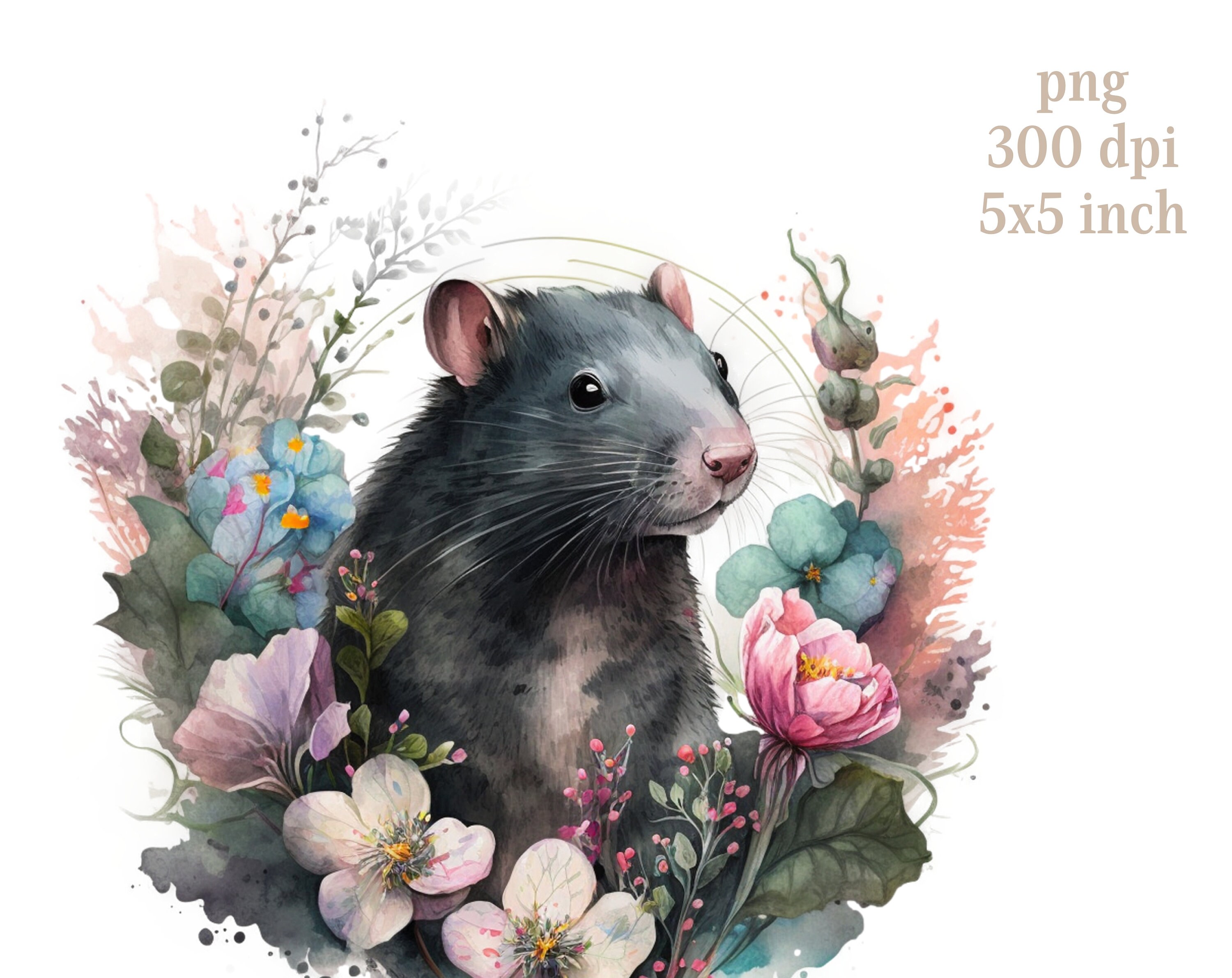 Rat Clipart. Mouse Clipart. Pet Clipart. Animal Clipart. Cute - Etsy