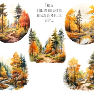 Autumn Forest Clipart, Wood Clip Art, Png. Digital Watercolor. Free ...