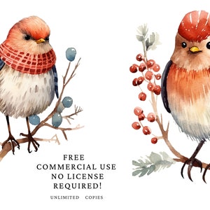 Winter Birds Clipart, Christmas Clipart, Winter Clipart, Bird Clipart ...
