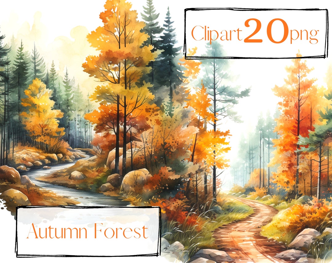 Autumn Forest Clipart, Wood Clip Art, Png. Digital Watercolor. Free ...
