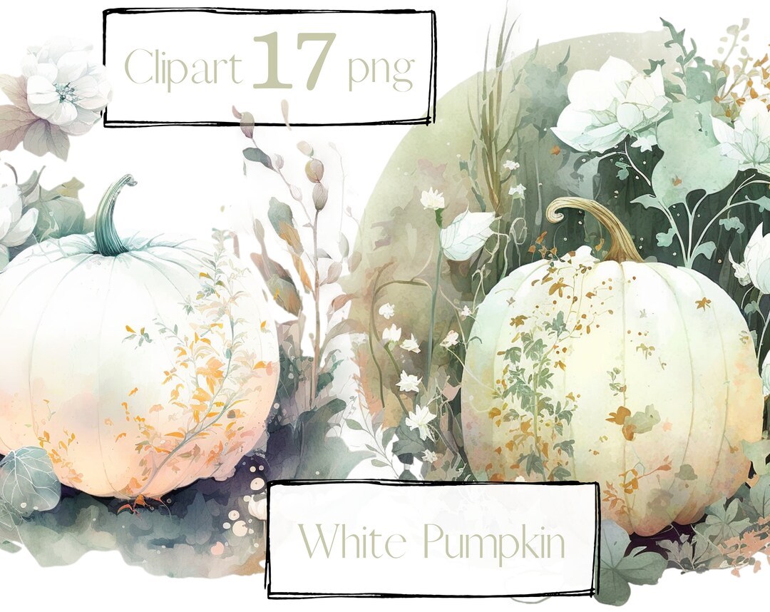White Pumpkin Clipart, Garden Clipart, Boho Fall Clipart, Autumn ...