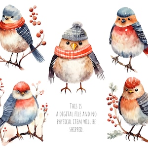 Winter Birds Clipart, Christmas Clipart, Winter Clipart, Bird Clipart ...