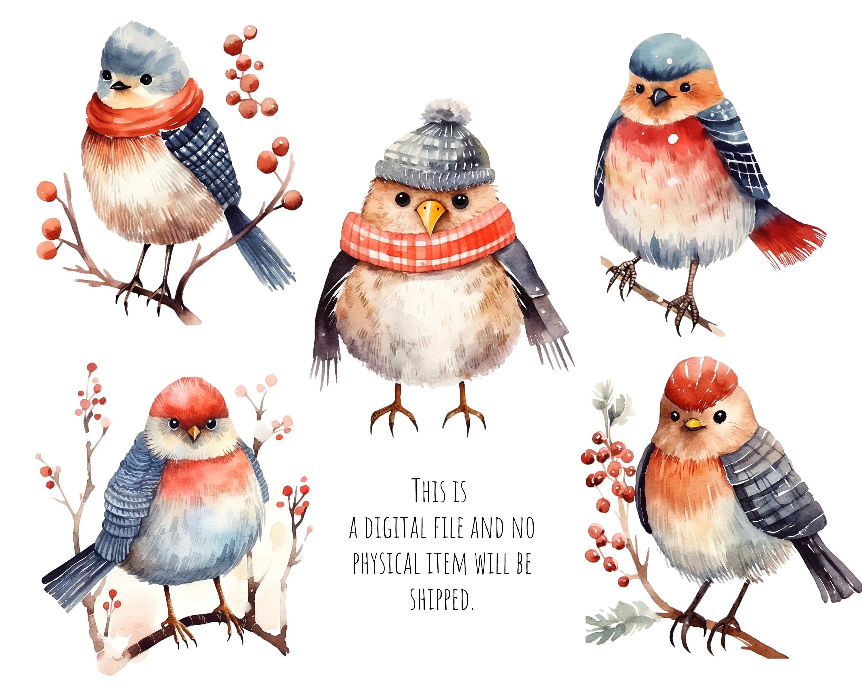 Winter Birds Clipart, Christmas Clipart, Winter Clipart, Bird Clipart ...