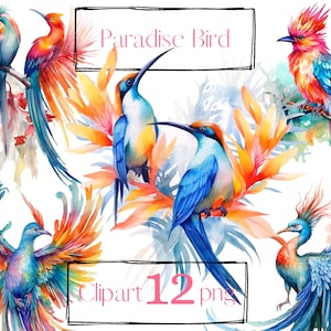 Magic Birds Clipart, Paradise Birds Clipart, Tropical Clip Art ...