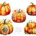 Orange Pumpkin Clipart, Garden, Fall Clipart, Autumn, Png. Digital ...
