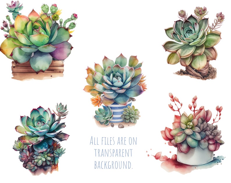 Succulent Clipart Floral Clip Art Png. Digital Watercolor. - Etsy