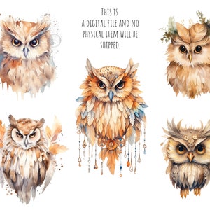 Boho Owl Clipart. Vintage Clipart, Retro Clip Art, Boho. Fantasy ...