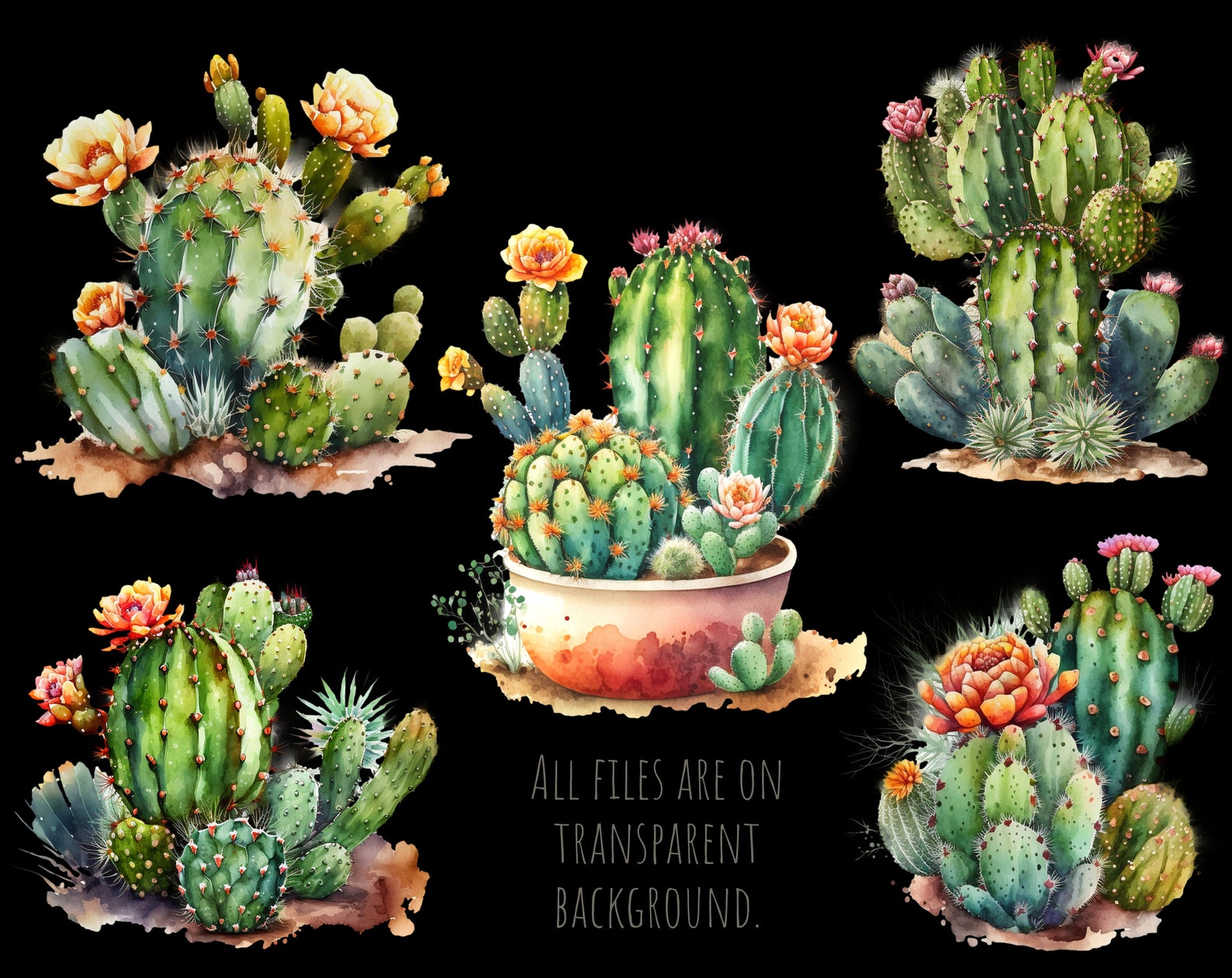 Cactus Clip Art Succulent Clipart Floral Clip Art Png. - Etsy