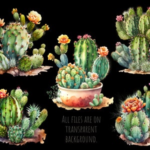 Cactus Clip Art, Succulent Clipart, Floral Clip Art, Png. Digital ...