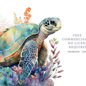 Turtle Clipart, Nautical Clipart. Ocean Animal. Sea Animals Clip Art ...