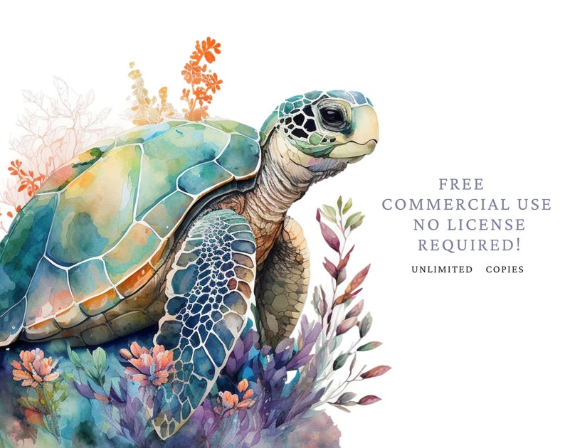 Turtle Clipart Nautical Clipart. Ocean Animal. Sea Animals - Etsy