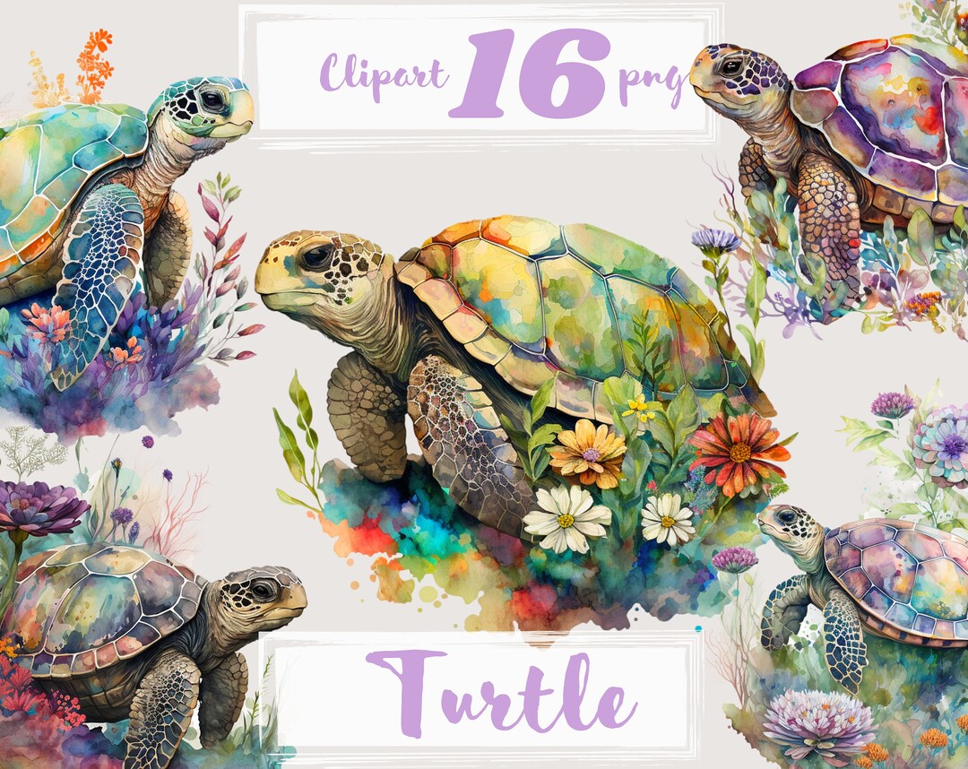 Turtle Clipart, Nautical Clipart. Ocean Animal. Sea Animals Clip Art ...