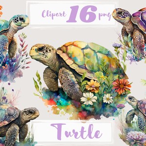 Turtle Clipart, Nautical Clipart. Ocean Animal. Sea Animals Clip Art ...