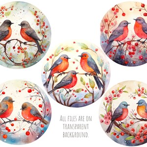 Winter Birds Clipart, Christmas Clipart, Winter Clipart, Bird Clipart ...