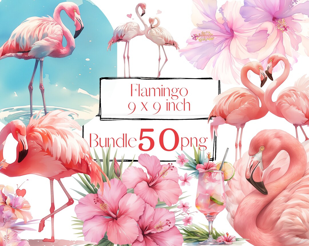 Flamingo Clipart. Tropical Clipart. Floral Clipart, Bird Clip Art, PNG ...