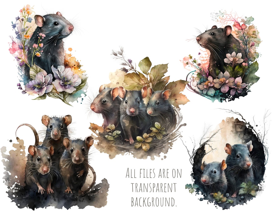 Rat Clipart. Mouse Clipart. Pet Clipart. Animal Clipart. Cute - Etsy