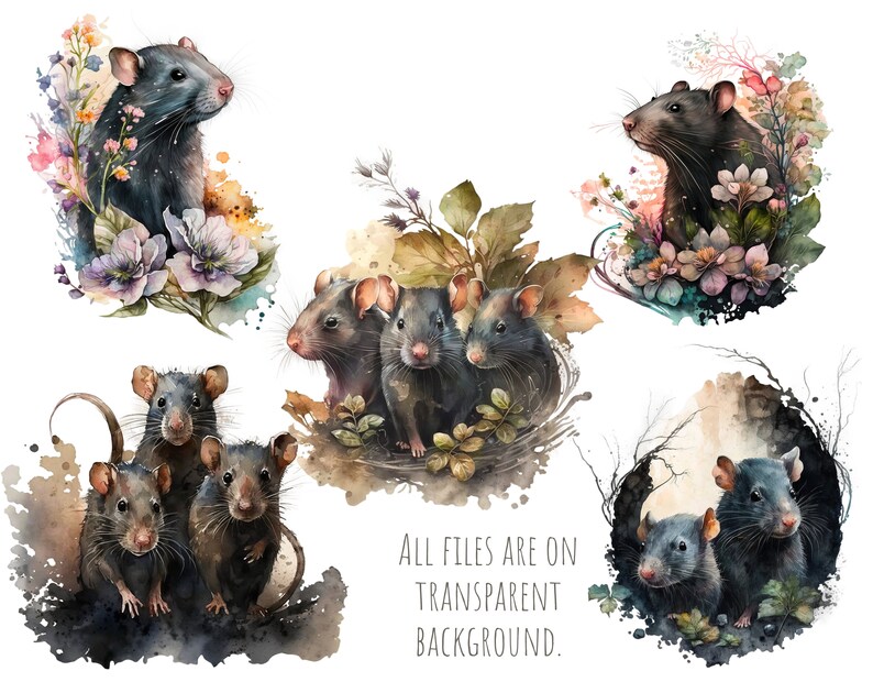 Rat Clipart. Mouse Clipart. Pet Clipart. Animal Clipart. Cute - Etsy