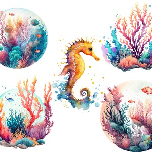 Seahorse Clipart, Nautical Clipart. Ocean Animal. Sea Animals Clip Art ...