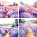 Lavender Field Digital Paper, Wild Flowers. Watercolor Scrapbook Paper ...