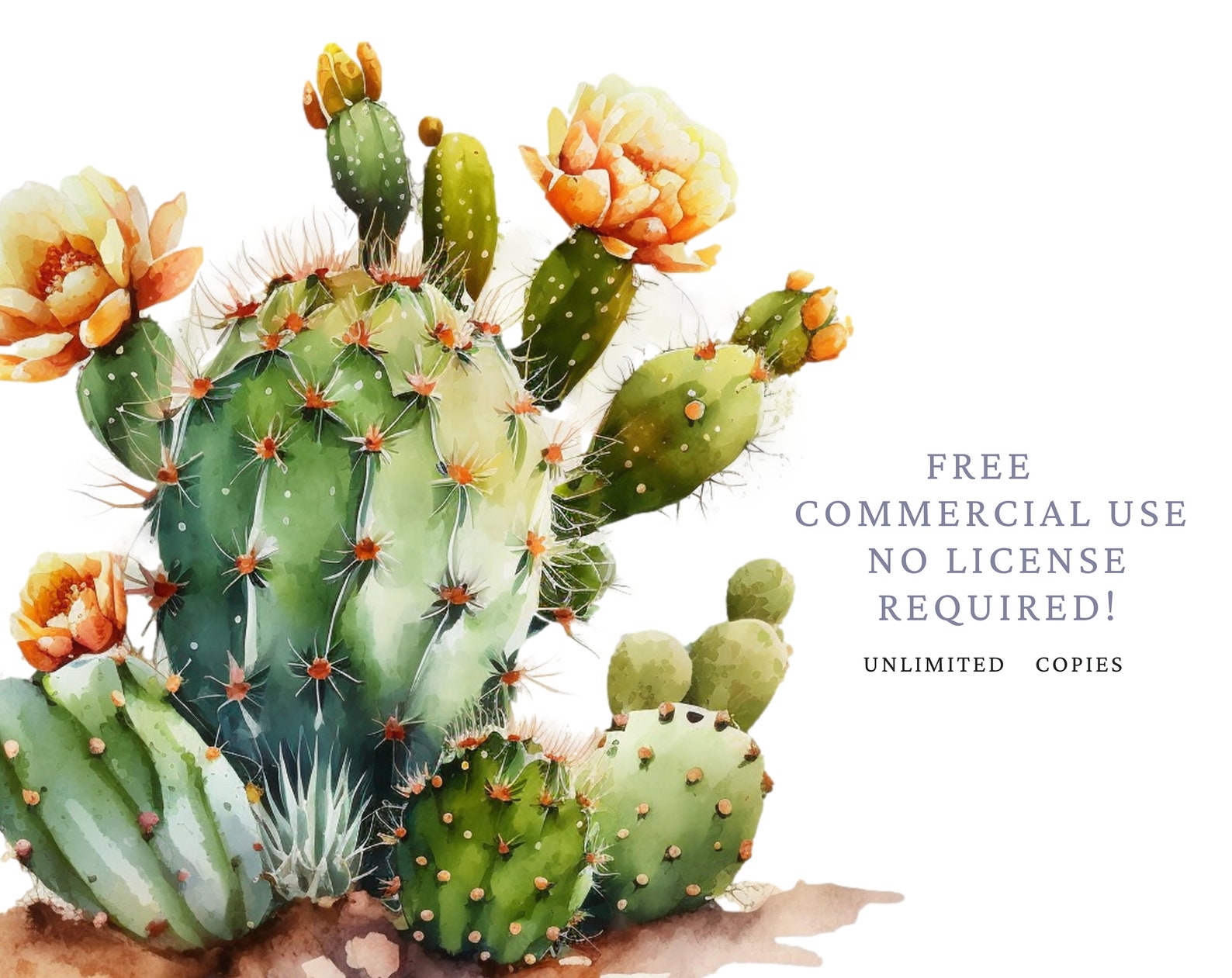 Cactus Clip Art Succulent Clipart Floral Clip Art Png. - Etsy