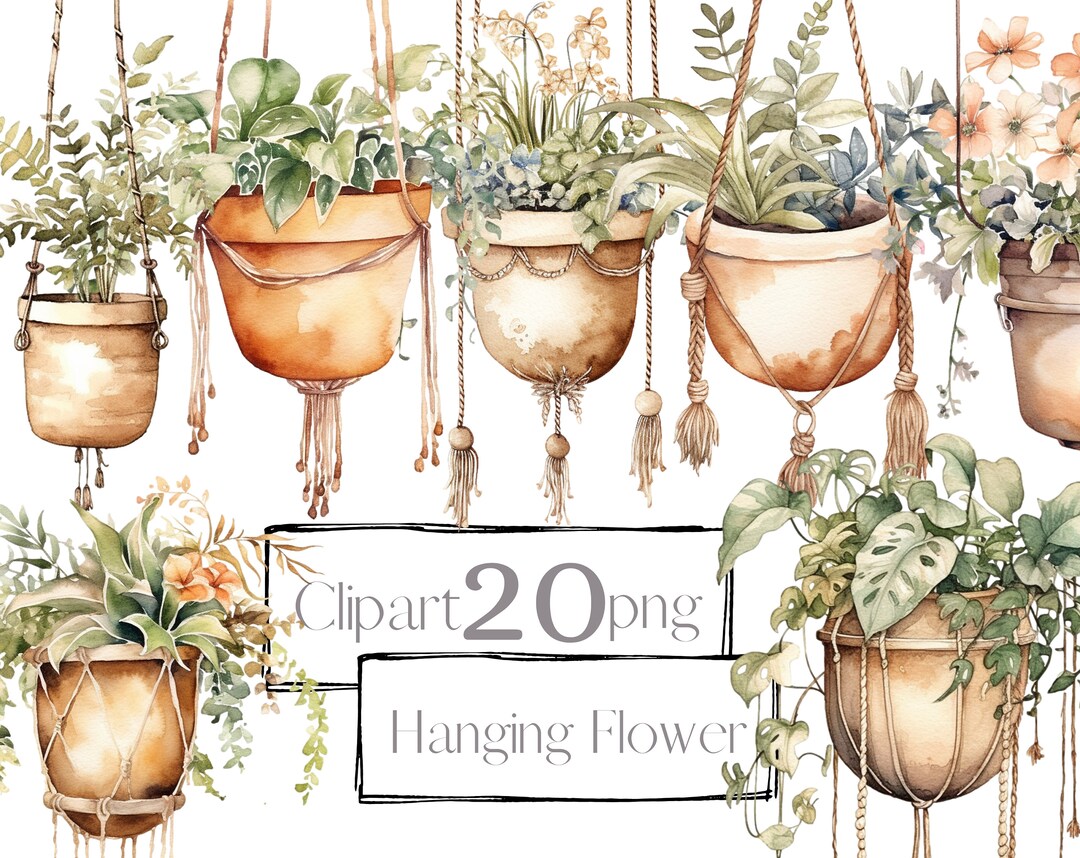 Hanging Plants Watercolor Clipart, Beautiful Houseplants Png, Beige ...