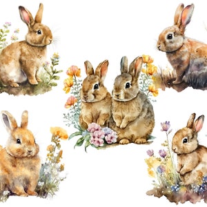 Bunnies Clipart. Bunny Bundle. Spring Clipart, Rabbit Clip Art, Boho ...