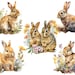 Bunnies Clipart. Bunny Bundle. Spring Clipart, Rabbit Clip Art, Boho ...