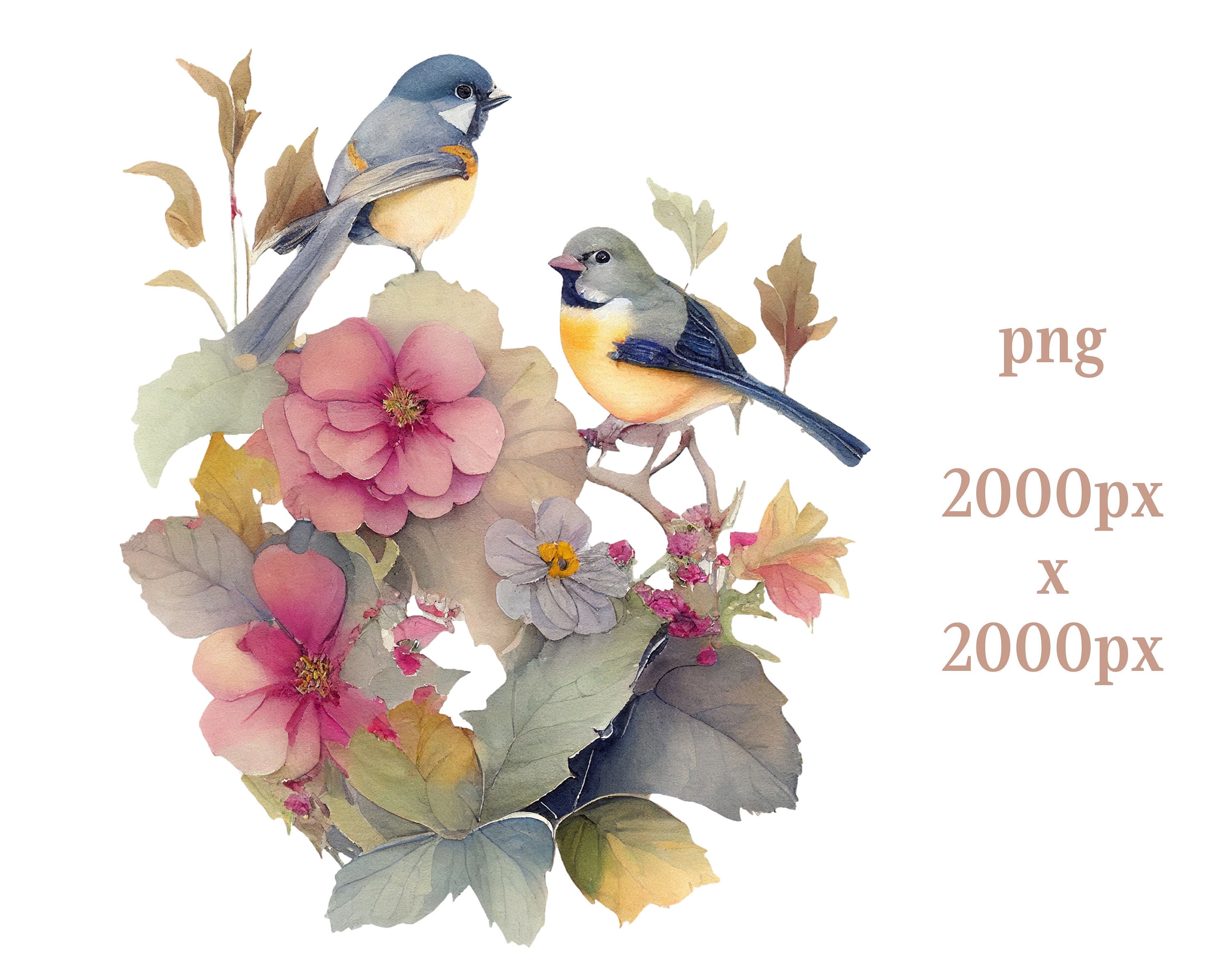 Spring Bird Clipart Floral Clip Art Png. Digital Watercolor. - Etsy UK